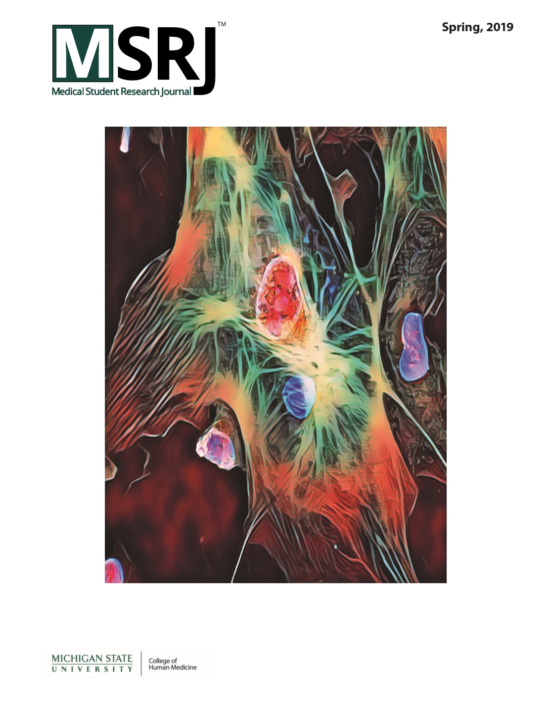 Volume 7: Spring 2019 Issue | Medical Student Research Journal